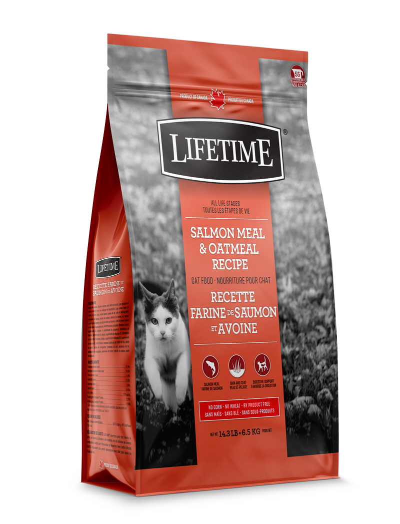 Lifetime Salmon & Oatmeal - Lifetime Pet