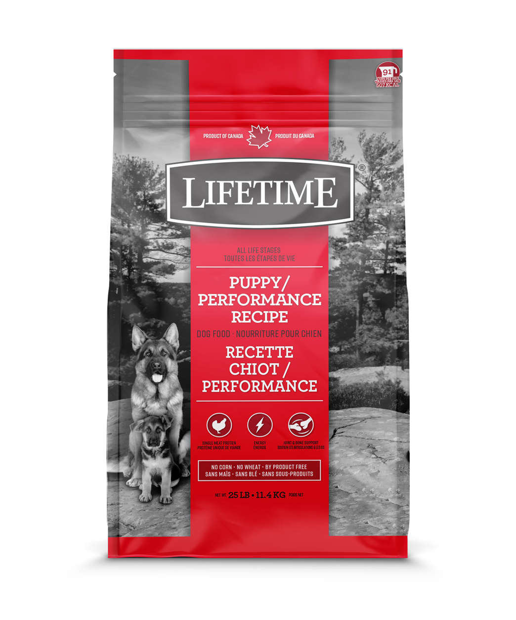 Chiens - Lifetime Pet