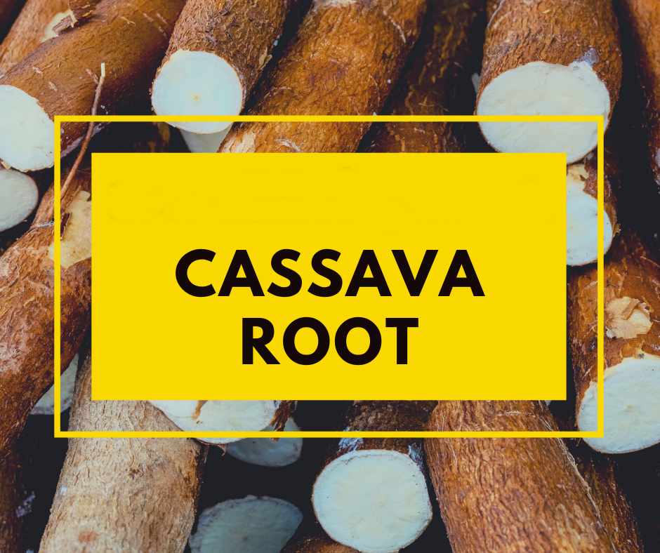 Ingredient Spotlight: Cassava Root - Lifetime Pet